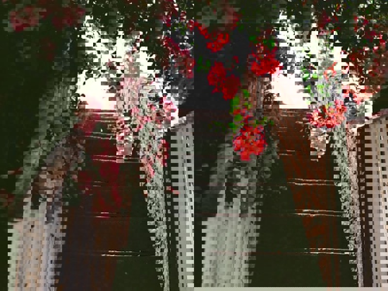 Payroll, Benefits & Advisory Solutions